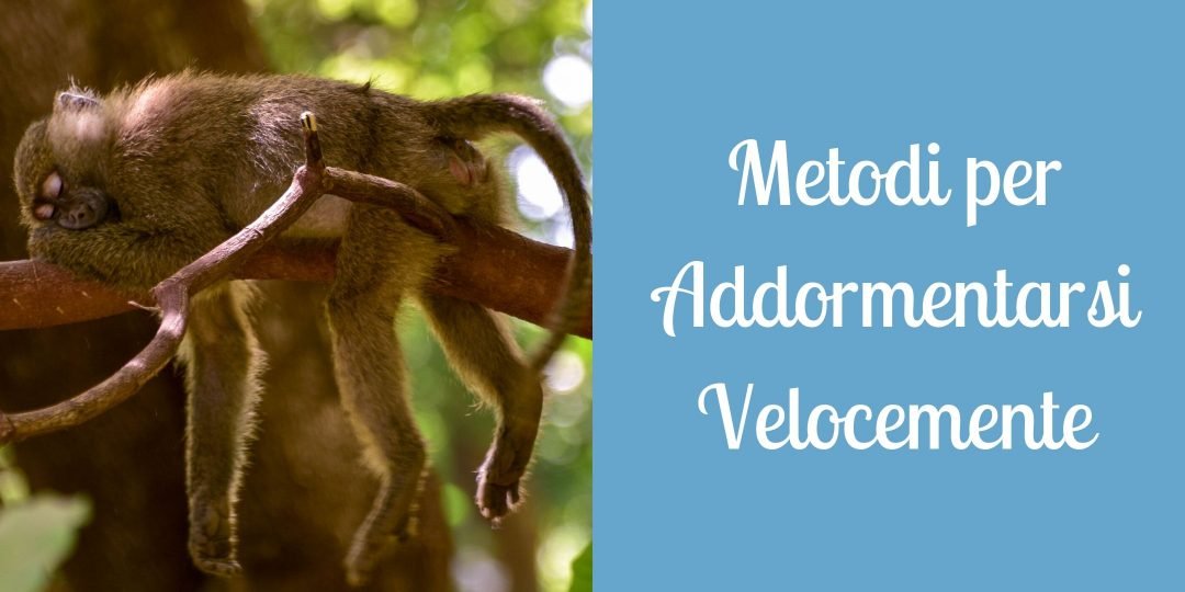 Metodi per addormentarsi velocemente: guida completa 2020